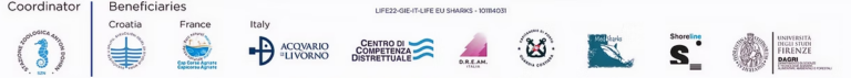 EUROPEAN SHARKS – Co-funded by the European Union
