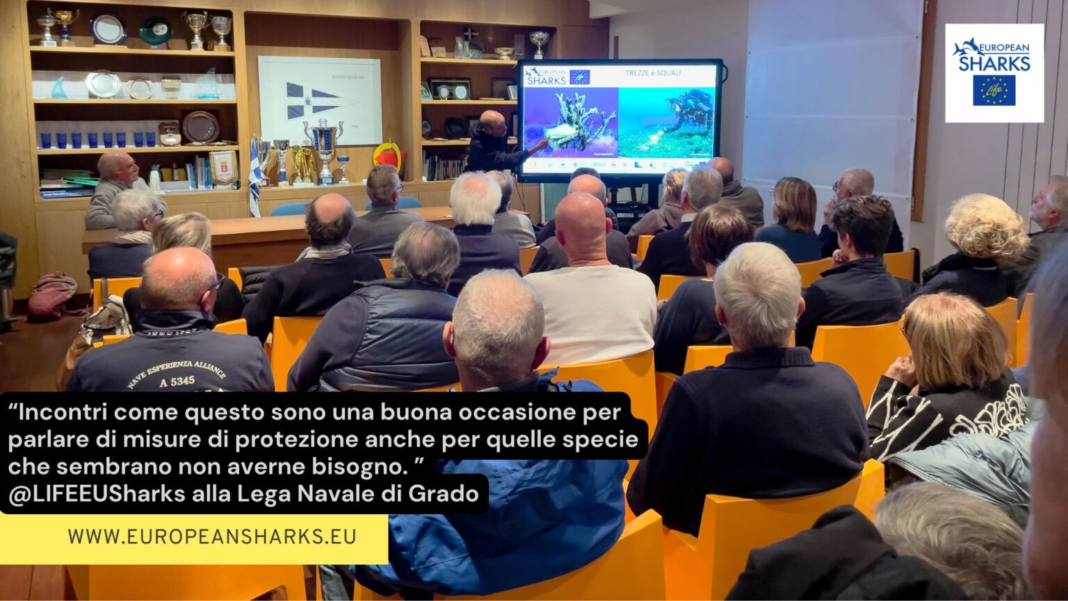 Sharks in Grado! – EUROPEAN SHARKS